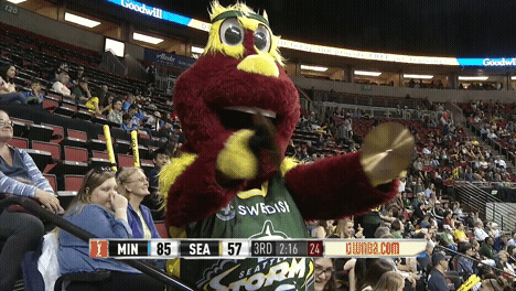 Seattle Storm Doppler GIF by WNBA - Find & Share on GIPHY