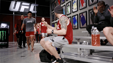 Episode 4 Ufc GIF - Find & Share on GIPHY