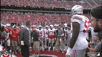 Ohio State Buckeyes Ncaa GIF by Ohio State Athletics - Find & Share on ...