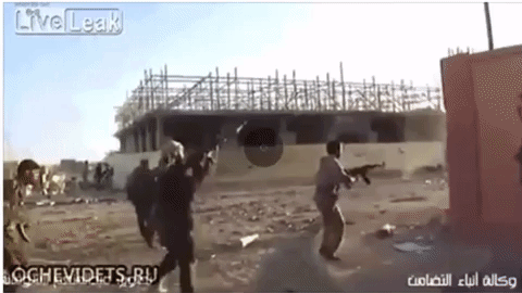 Liveleak GIFs - Find & Share on GIPHY