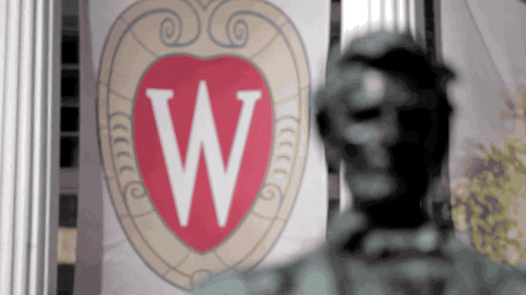 Abe Lincoln Wisconsin GIF by uwmadison - Find & Share on GIPHY