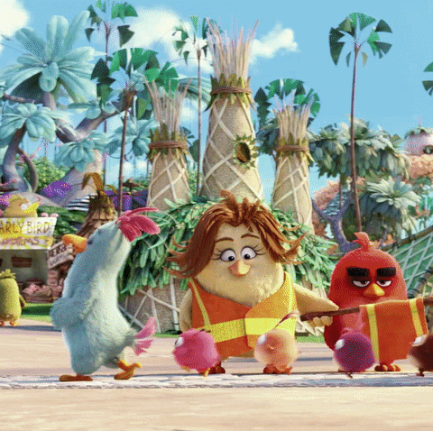 GIF by Angry Birds - Find & Share on GIPHY