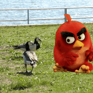 The Angry Birds Movie Slap GIF by Angry Birds - Find & Share on GIPHY