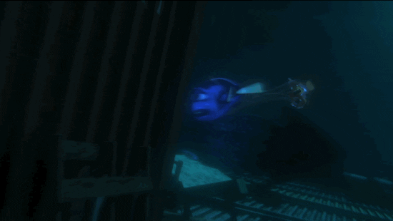 Finding Dory GIF by Disney/Pixar's Finding Dory - Find & Share on GIPHY