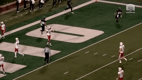Celebrate Ohio Bobcats GIF by Ohio Football - Find & Share on GIPHY