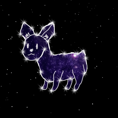 Night Sky Dog GIF by NeonMob - Find & Share on GIPHY