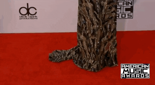 Red Carpet GIF by AMAs - Find & Share on GIPHY