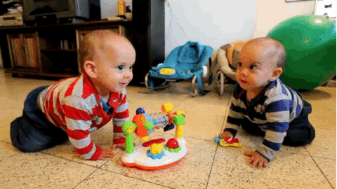 GIF by World’s Funniest - Find & Share on GIPHY