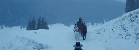 Quentin Tarantino Snow GIF by The Hateful Eight - Find & Share on GIPHY