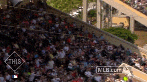 GIF by MLB - Find & Share on GIPHY