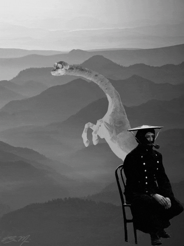 Digital Collage Animation GIF by Brandon Muir - Find & Share on GIPHY