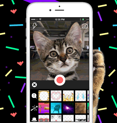 GIF by GIPHY CAM - Find & Share on GIPHY
