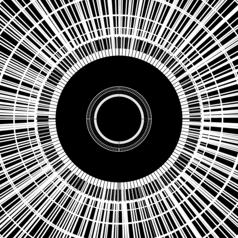 Animation Design GIF by Thomas L Ricci - Find & Share on GIPHY