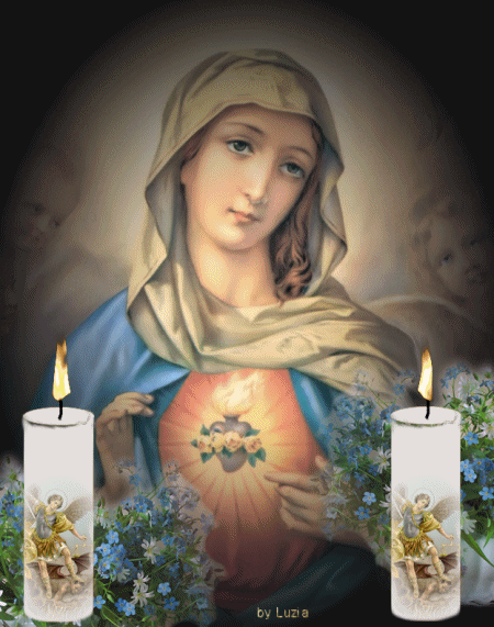 #Maria GIF - Find & Share on GIPHY