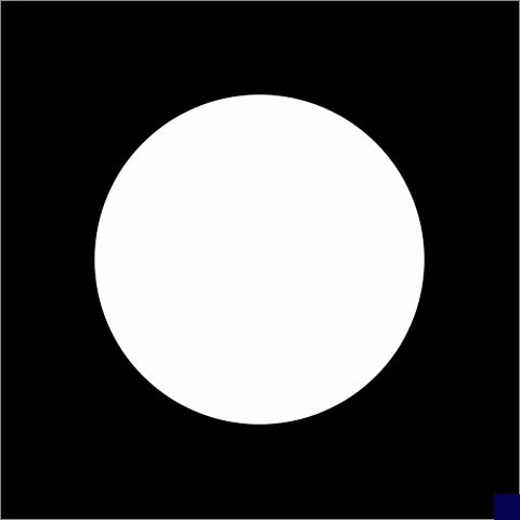 Black And White Animation GIF by The New Big Poppa E - Find & Share on ...