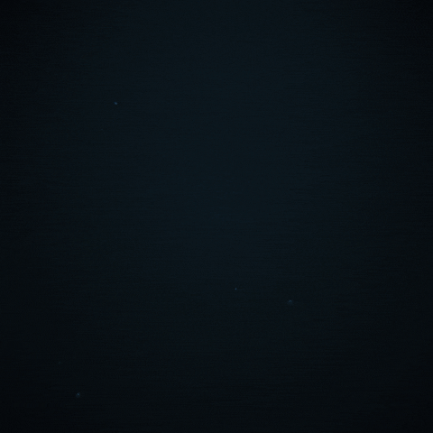 Digital Art GIF by NeonMob - Find & Share on GIPHY