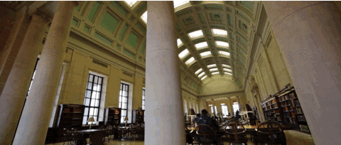 College Students GIF by Harvard University - Find & Share on GIPHY