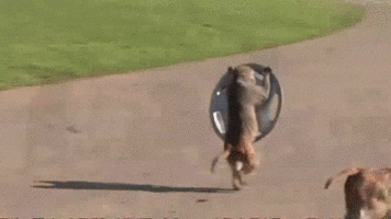 Found this note on my car after work yesterday. Lost my hubcap when I ...