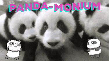 Crack open the bamboo it's National Panda Day!