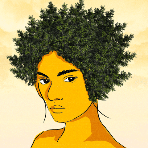 Trees Afro GIF by Percolate Galactic - Find & Share on GIPHY