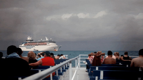 Cruise Ship GIF by Univision Noticias - Find & Share on GIPHY