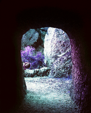 Film Analog GIF by Doctor Popular - Find & Share on GIPHY