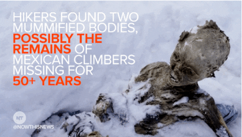 News Mummies GIF by NowThis - Find & Share on GIPHY