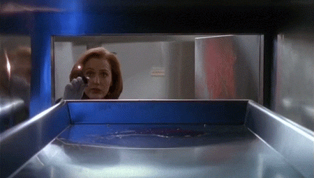 X Files GIF by The X-Files - Find & Share on GIPHY