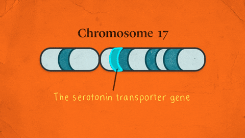 Dna Gene GIF by University of California - Find & Share on GIPHY