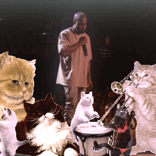 Kanye West Cats GIF by Becky Chung - Find & Share on GIPHY