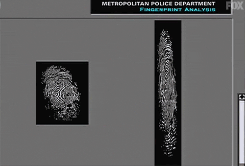 Neat Fingerprint analysis gif... - Renoxx ID Solutions