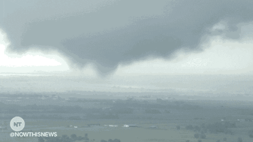 News Weather GIF by NowThis - Find & Share on GIPHY