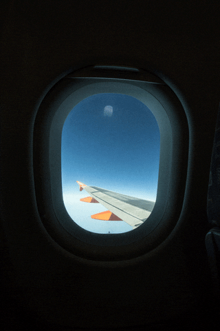 Flight To London 2014 GIF by Marius Sperlich - Find & Share on GIPHY