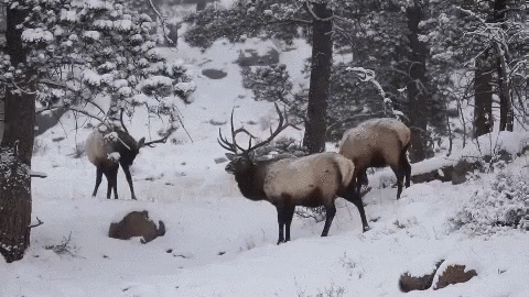 Gif By Awesome GIF - Find & Share on GIPHY