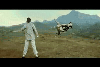 Kung Pow GIF - Find & Share on GIPHY