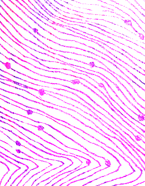 Pattern GIFs - Find & Share on GIPHY