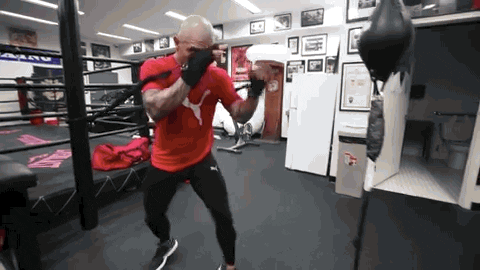 Boxing Rocnationsports GIF by Miguel Cotto - Find & Share on GIPHY