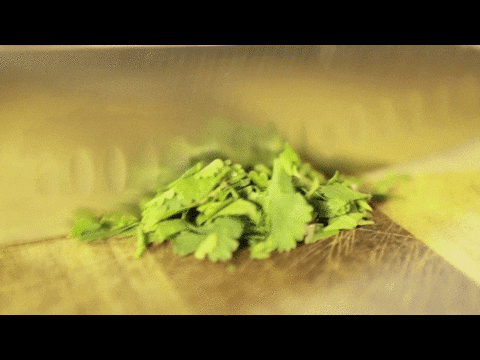 Chopping Coriander GIF - Find & Share on GIPHY
