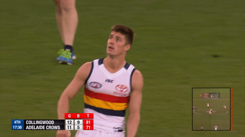 Adelaide Crows GIF - Find & Share on GIPHY