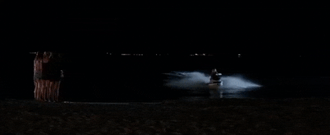GIF by Rough Night Movie - Find & Share on GIPHY