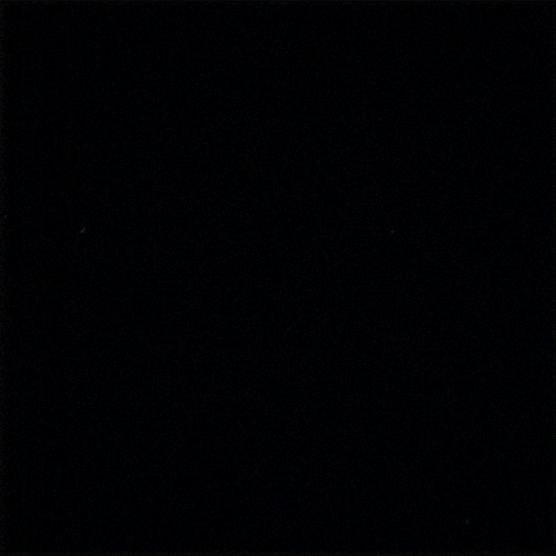 Flash Waves GIF by Erica Anderson - Find & Share on GIPHY