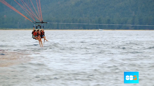 Wind Kite GIFs - Get the best GIF on GIPHY