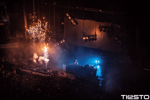 Electronic Music Edm GIF by Tiësto - Find & Share on GIPHY