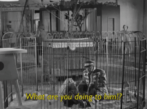 Classic Film Cage GIF by Warner Archive - Find & Share on GIPHY