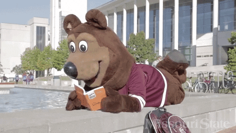 Boomer Msu GIF by Missouri State University - Find & Share on GIPHY