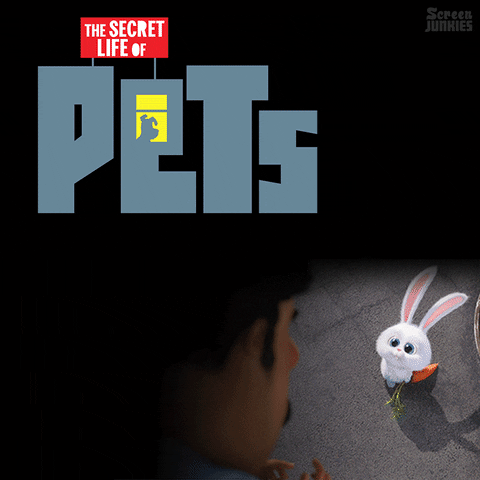 Secret Life Of Pets GIF by ScreenJunkies - Find & Share on GIPHY