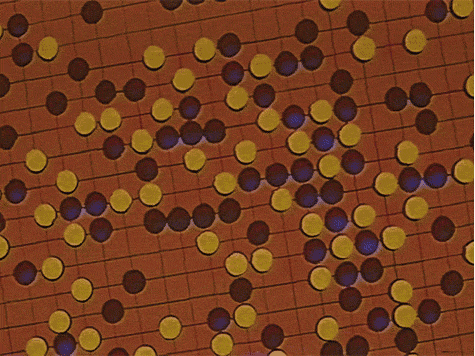 70'S Animation GIF by rotomangler - Find & Share on GIPHY