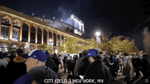 New York Baseball GIF by Yevbel - Find & Share on GIPHY