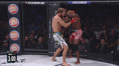 Knock Out Mma GIF by Bellator - Find & Share on GIPHY