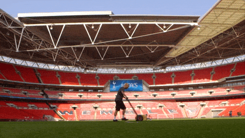 London Football GIF by Tottenham Hotspur - Find & Share on GIPHY